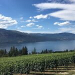 Private Boat Tour with Lunch Stop - Value and Practical Considerations