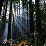 Private Border Corner Tour in Washington - Who Would Enjoy This Tour?