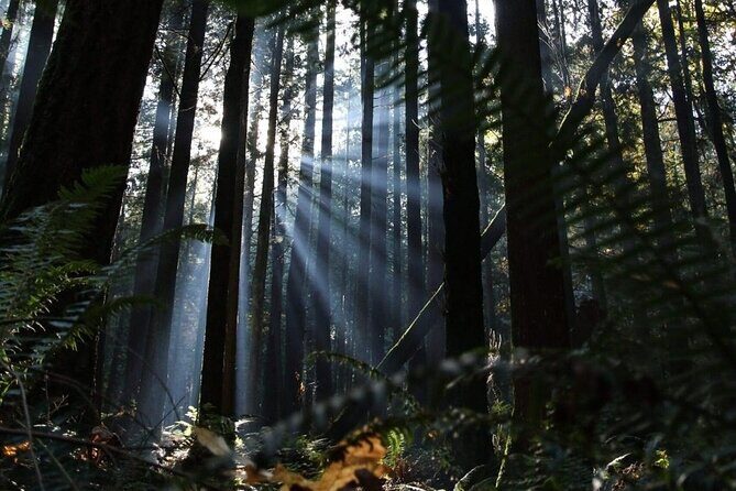 Private Border Corner Tour in Washington - Who Would Enjoy This Tour?