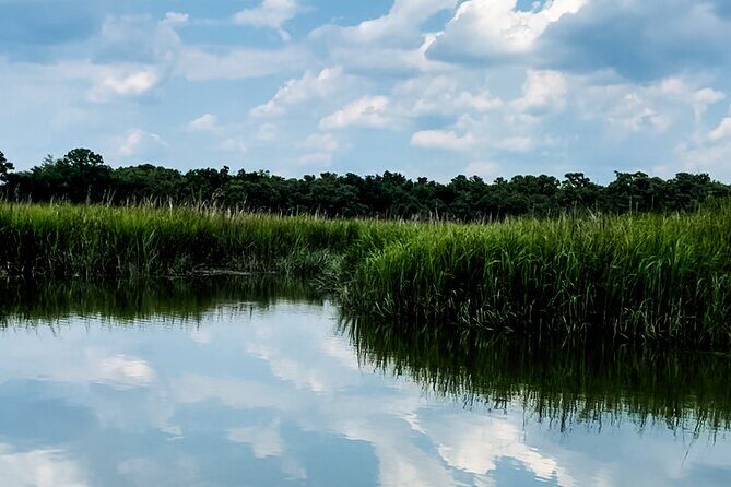 Private Captained Luxury Electric Boat Charter in Savannah - Who Will Love This Tour?