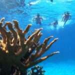 Private Catamaran in Cozumel: El Cielo and Turtle Sanctuary - Value Proposition & Who It’s Best For