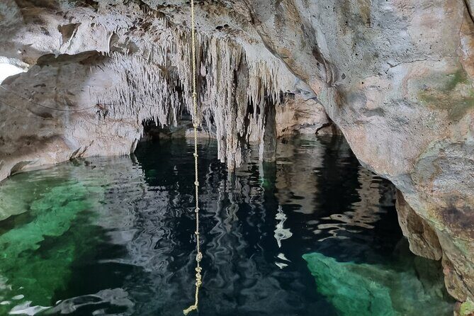 Private Cenote Hopping Tour  Adventure with a Local Vibe - The Sum Up
