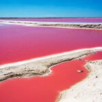 Private Chichen Itza, Cenote Ik Kil, Rio Lagartos & Las Coloradas - What the Reviews Say