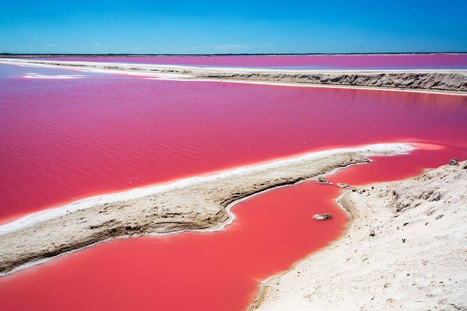 Private Chichen Itza, Cenote Ik Kil, Rio Lagartos & Las Coloradas - What the Reviews Say