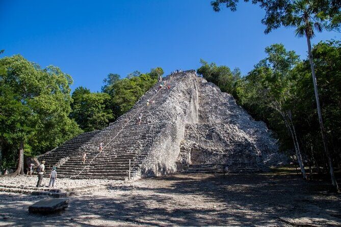 Private Coba Ruins, Cenote Swim and Tacos Lunch Tour - Indulging in Tacos at Tacos Honorio
