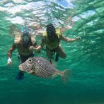 Private Cozumel Jeep and Jade Cavern Cenote Tour - An In-Depth Look at the Tour