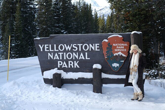 Private, Custom Yellowstone Wildlife Tours & Photo Safaris - What the Reviews Say