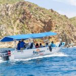 Private Day Trip to San José & Cabo San Lucas - Practical Details and Tips