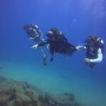 Private Dive Boat for Certified Divers - Cabo San Lucas - Why Divers and Travelers Love This Tour