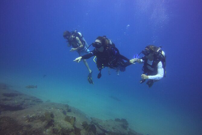 Private Dive Boat for Certified Divers - Cabo San Lucas - Why Divers and Travelers Love This Tour