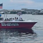 Private Dolphin Cruise - What to Expect on the Boat