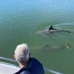 Private Dolphin, Lighthouse and Shelling Adventure (Folly Beach) - Who Will Love This Tour?