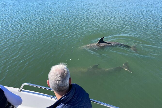 Private Dolphin, Lighthouse and Shelling Adventure (Folly Beach) - Who Will Love This Tour?