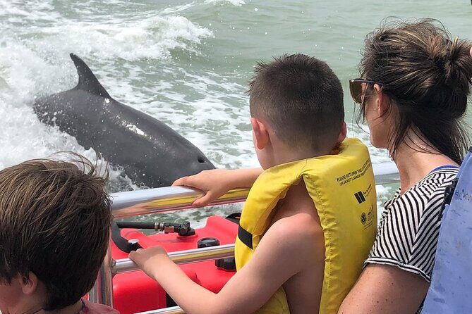 Private Dolphin, Shelling and Birding Tour - The Shelling Experience