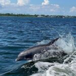 Private Dolphin Tour with Secluded Beach/Snorkel Stop - Authentic Reviews and What Travelers Say