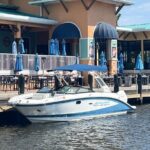 Private Dolphin Watching Beach Day Getaway - An In-Depth Look at the Experience
