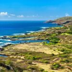 Private Driving Tour of Oahu Scenic South Shore - Final Thoughts: Who Will Love This Tour?