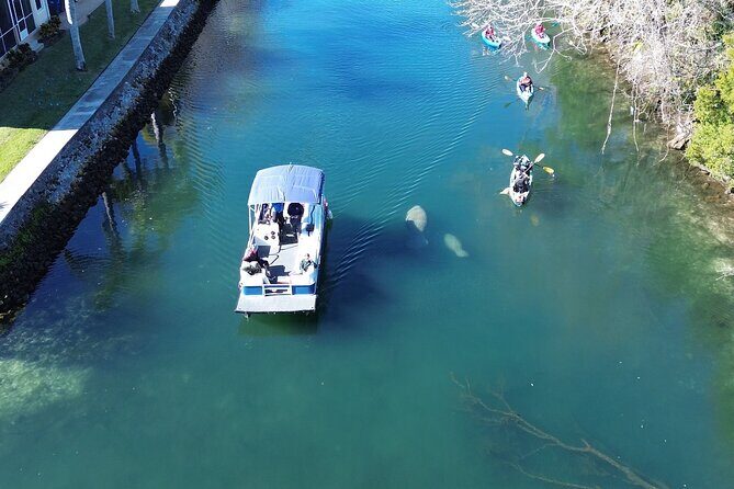 Private Eco Tour in Kings Bay Crystal River Florida - How This Tour Compares to Others