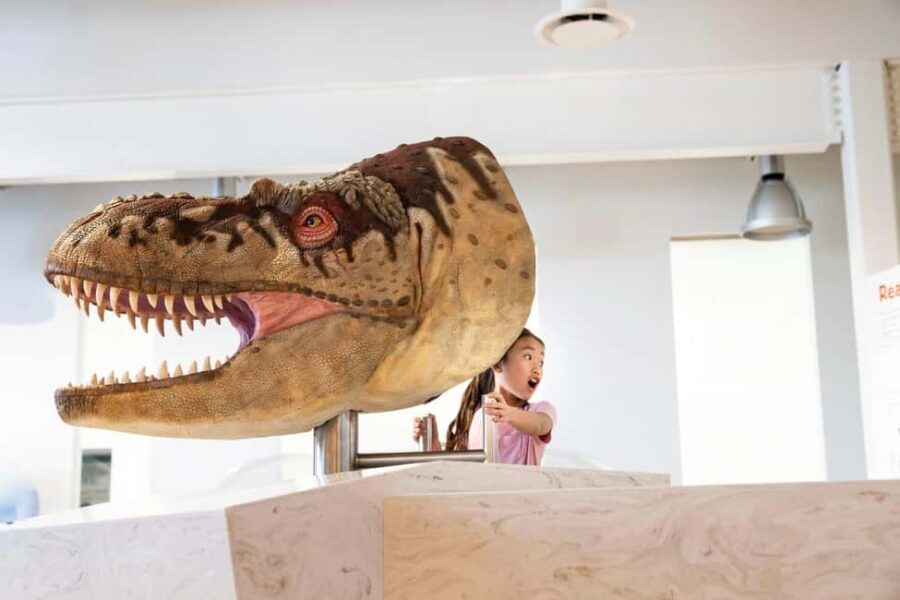 Private Exclusive Drumheller Tour with Royal Tyrrell Museum - Final Thoughts: Is This Tour Right for You?
