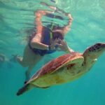 Private Experience: Akumal sea turtles encounter and Yal-kú lagoon colorfull fish snorkel. - The Sum Up