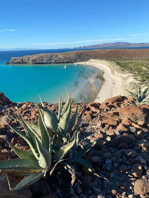Private experience from Los Cabos to La Paz: (Balandra) - An In-Depth Look at the Tour Itinerary