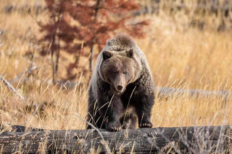 Private: Famous MOVIES + MOUNTAINS Photo Safari Drive - 4hrs - What Makes This Tour a Great Value?