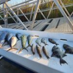 Private Fishing Charter in North Myrtle Beach - What’s Included and How It Works