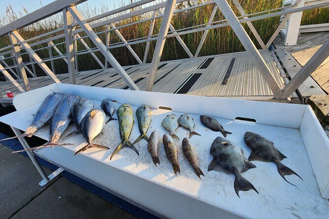 Private Fishing Charter in North Myrtle Beach - What’s Included and How It Works