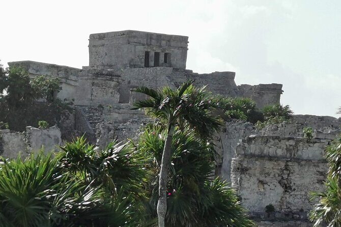 Private Full-Day Guided Tulum Coba and Cenote Tour with Lunch - Who Should Consider This Tour?