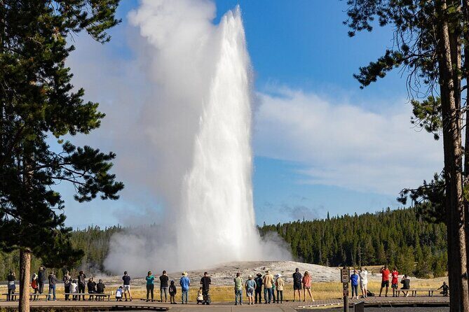 Private Full Day Luxury Tour at Yellowstone Park - FAQs