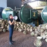 Private Full Day Tour in Guachimontones and Orendain Tequila - Practicalities and Value