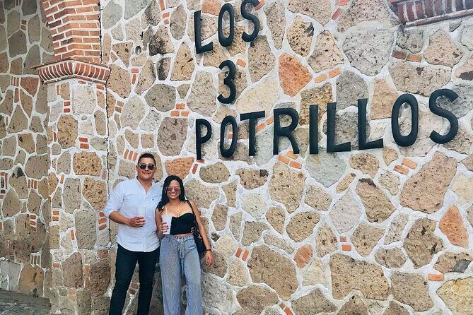 Private Full-Day Trip to Chapala and Ajijic from Guadalajara - What Travelers Say: Authentic Experiences and Personal Touch