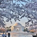Private Full Day Washington DC Tour from New York City - Who Should Consider This Tour?