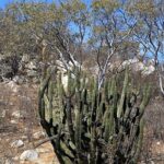 PRIVATE Fun Hiking Tour with Awesome Views - Who Should Consider This Tour?