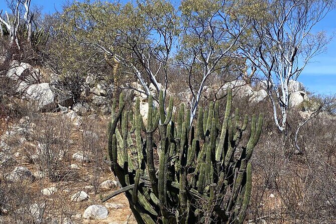 PRIVATE Fun Hiking Tour with Awesome Views - Who Should Consider This Tour?