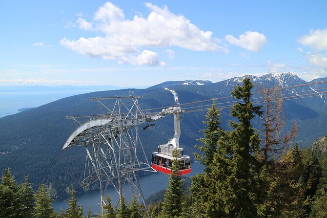 Private Grouse Mountain and Capilano Park Tour in Vancouver - The Sum Up