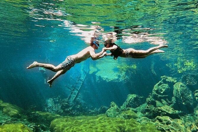 Private Guided Cenotes and Underground River Exploration - Authentic Experiences and Scenic Highlights