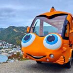 Private Guided City Tour up to 12 Passengers - The Value of This Tour