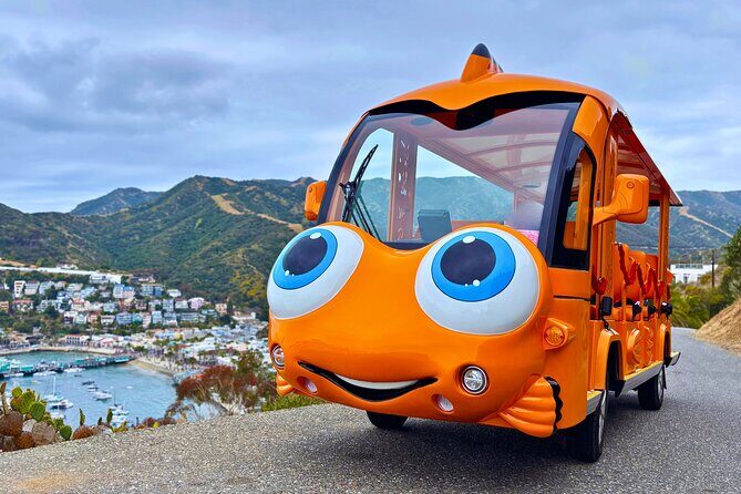 Private Guided City Tour up to 12 Passengers - The Value of This Tour