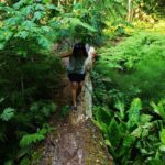 Private Guided Rainforest Hike in Victoria - What Reviewers Say: Authentic Perspectives
