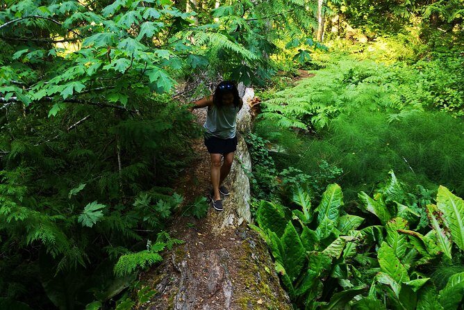 Private Guided Rainforest Hike in Victoria - What Reviewers Say: Authentic Perspectives