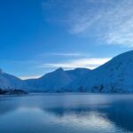 Private Guided Tour Whittier Cruise pick up - Alaska Wildlife Conservation Center