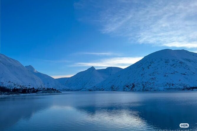 Private Guided Tour Whittier Cruise pick up - Alaska Wildlife Conservation Center