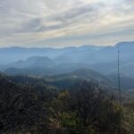Private Half Day Bird Watching Experience - What Does the Price Cover, and Is It Worth It?