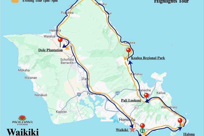 Private Half-Day Circle Island Highlights Tour in Oahu - What Travelers Say About the Experience