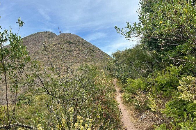 Private Half Day Hiking Experience in Picacho - What the Experience Looks Like