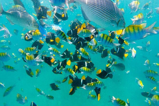 Private Hidden Beach from Punta de Mita - What Travelers Say