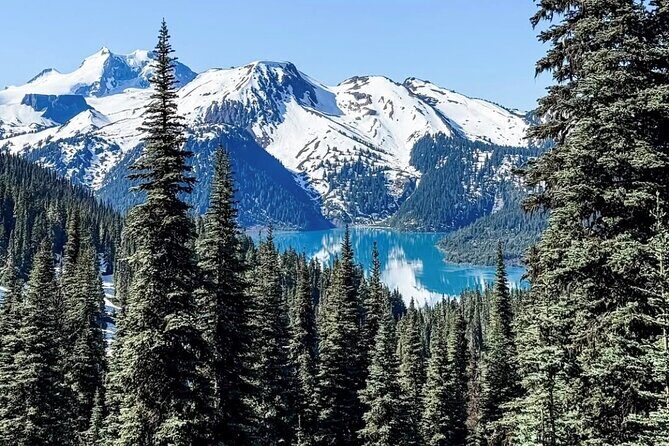 Private Hiking Day Tour of Garibaldi Lake Panorama Ridge - Analyzing the Value