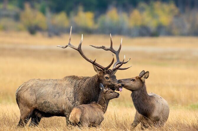 Private Hiking Tour Experience at Rocky Mountain National Park - Who Will Love This Experience Most?
