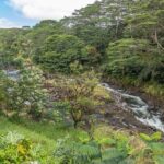 Private Hilo Shore Excursion - Botanical Gardens & Waterfalls - Who This Tour Is Best For